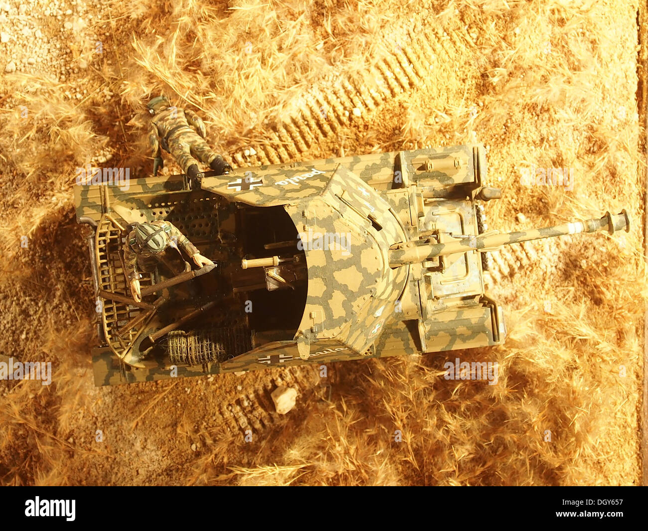 Marder Iii High Resolution Stock Photography and Images - Alamy