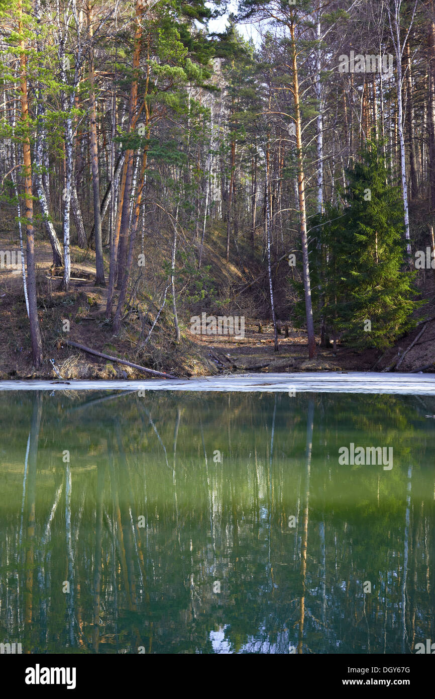 Pond with conifer - birch forest on banks Stock Photo - Alamy
