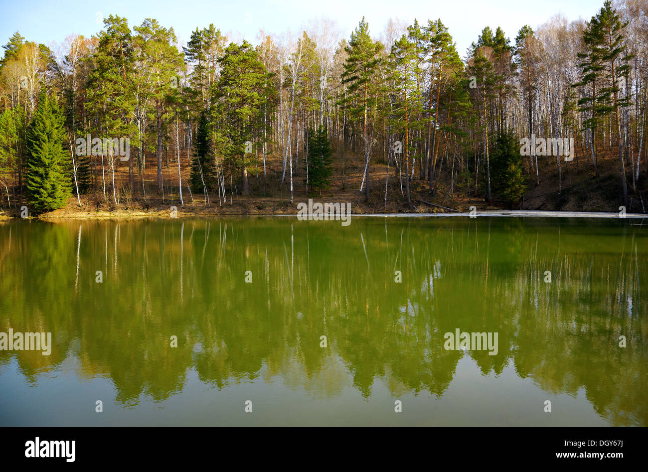 Conifer forest on bank river hi-res stock photography and images - Alamy