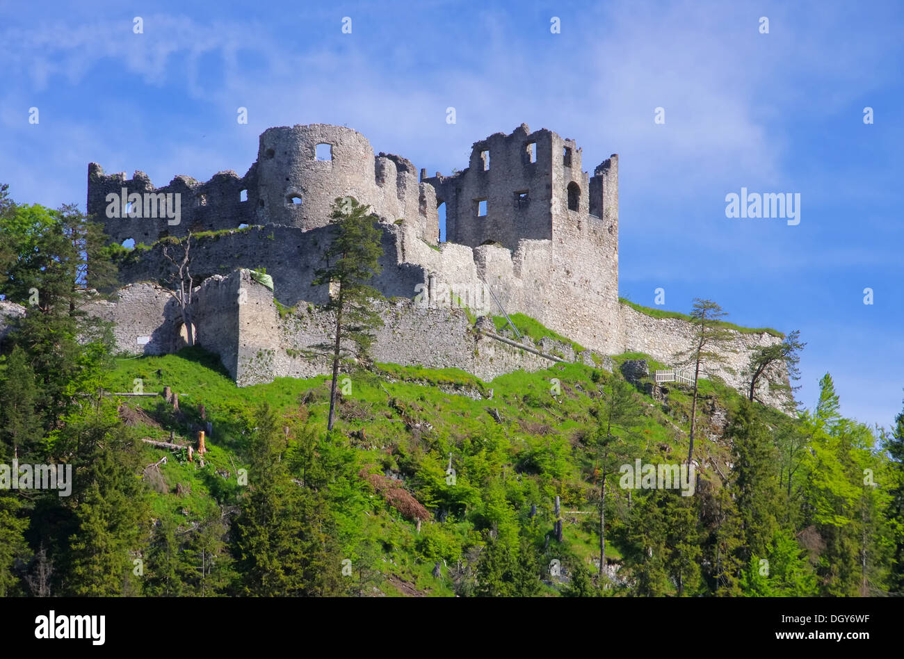 Ehrenberg castle hi-res stock photography and images - Alamy