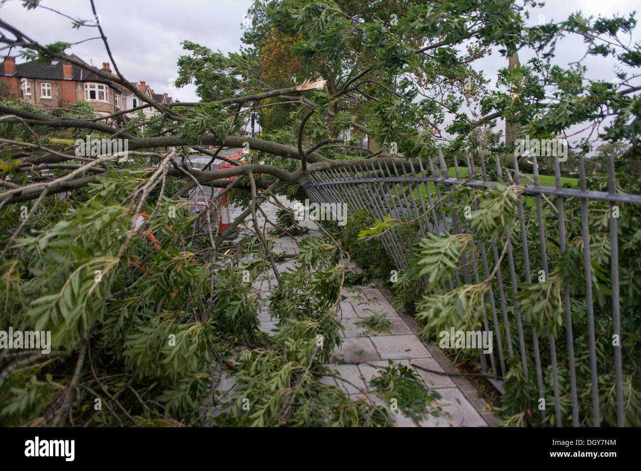 Tree fallen across road hi-res stock photography and images - Alamy