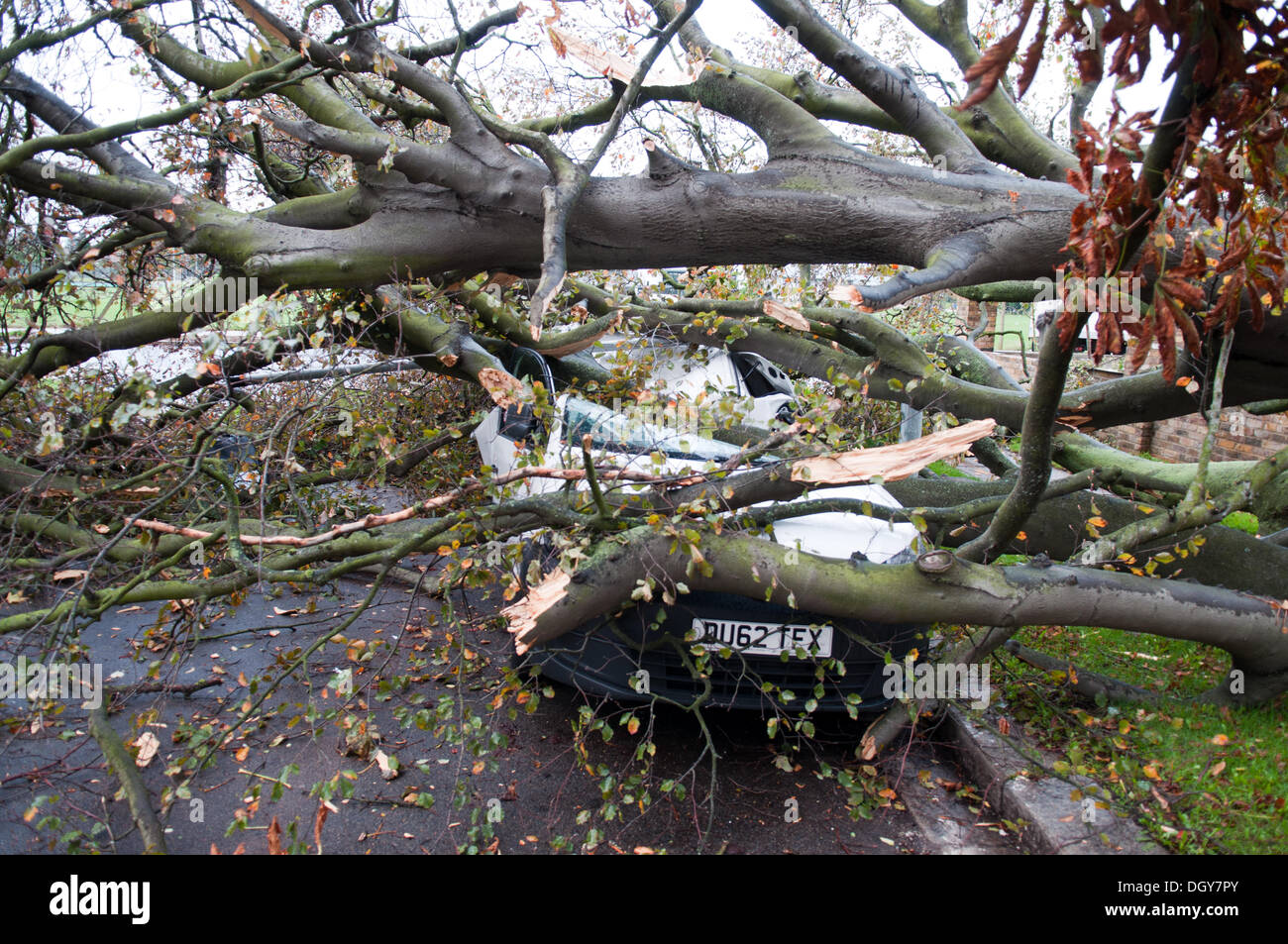 1987 hurricane damage hi-res stock photography and images - Alamy