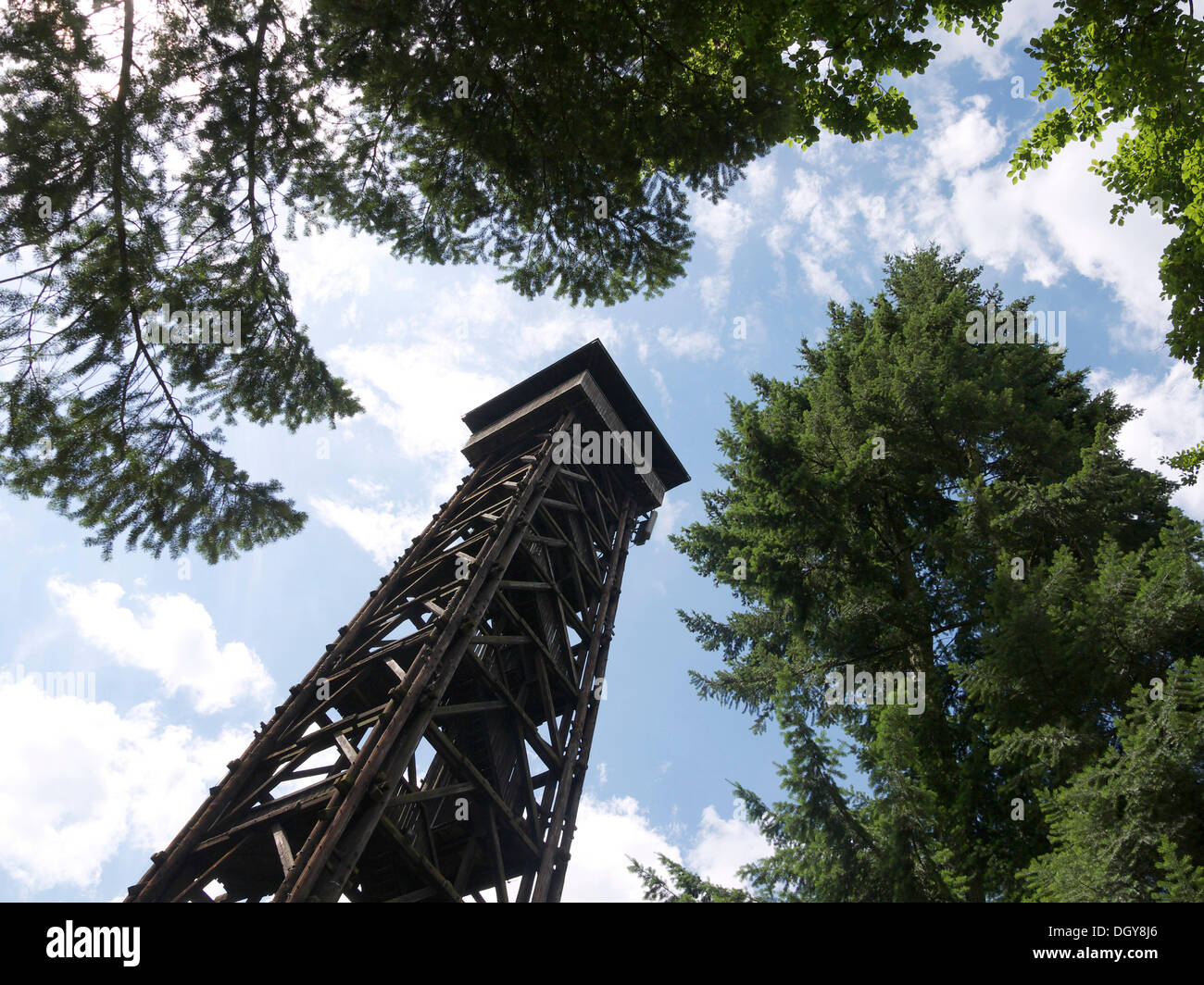 Goethe Tower, Schwanheimer Dune, Frankfurt am Main, Hesse Stock Photo ...