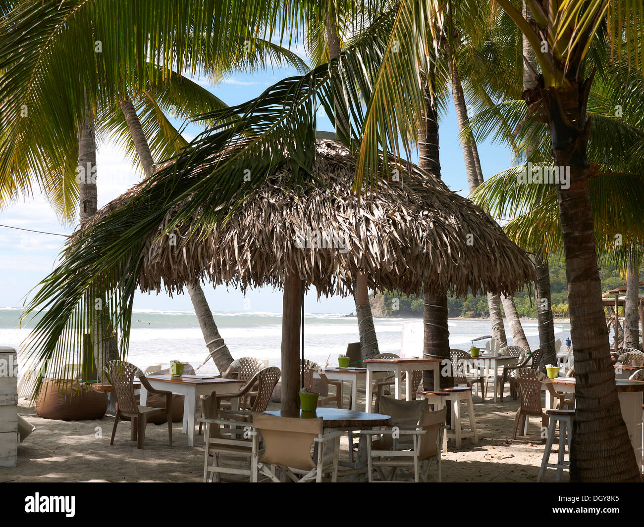 Beach bar with palm trees, Playa Samara, Nicoya Peninsula, Costa Rica ...