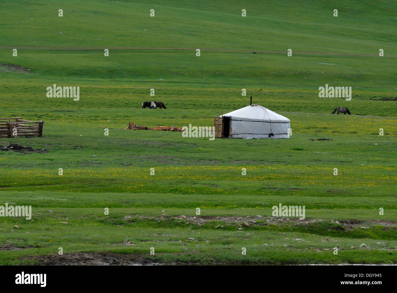 Mongolian ger (yurt) hi-res stock photography and images - Alamy