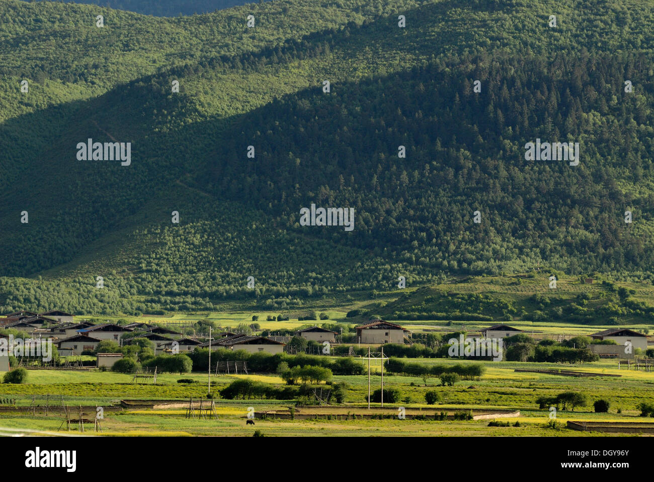 Tibetan farm houses in the Himalayan foothills, village in Eastern ...