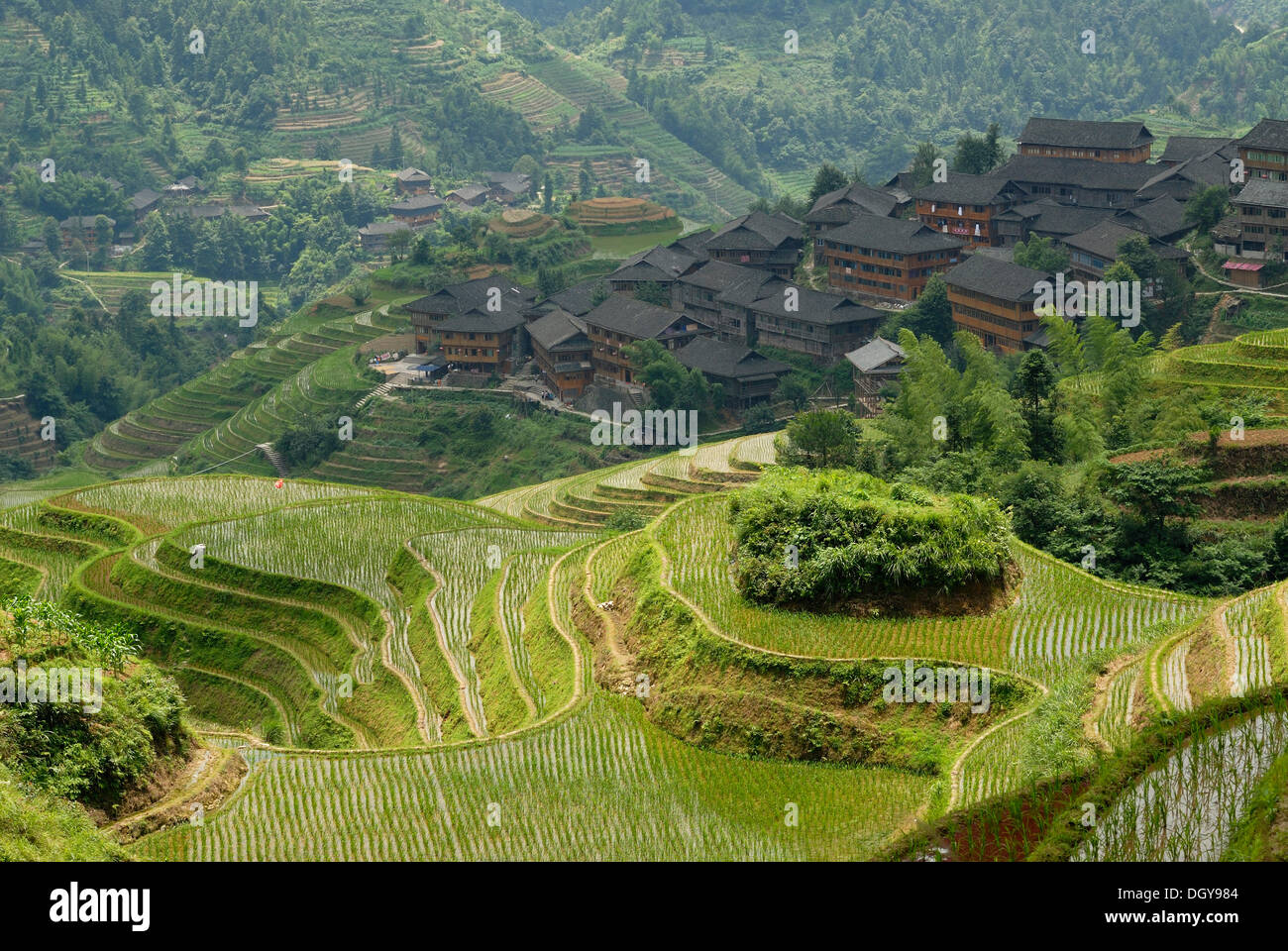 Longji rice terraces dazhai village hi-res stock photography and images ...