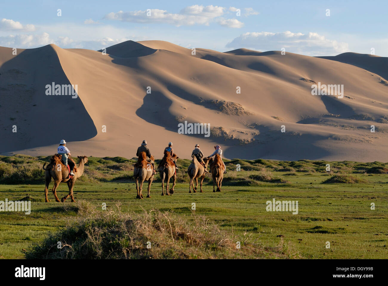 Tourists on camel riding through a lush green grass landscape towards ...