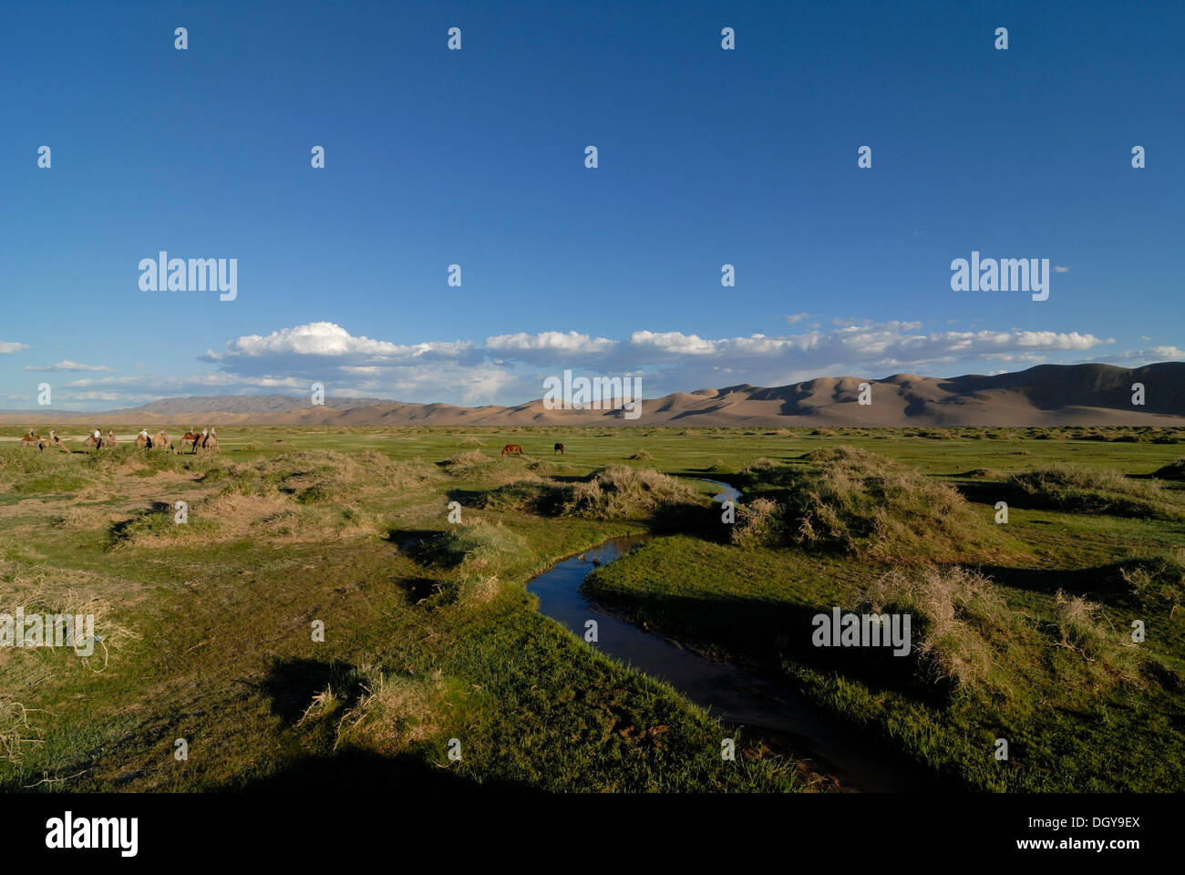 Small fresh river meandering through the lush green grass landscape in ...