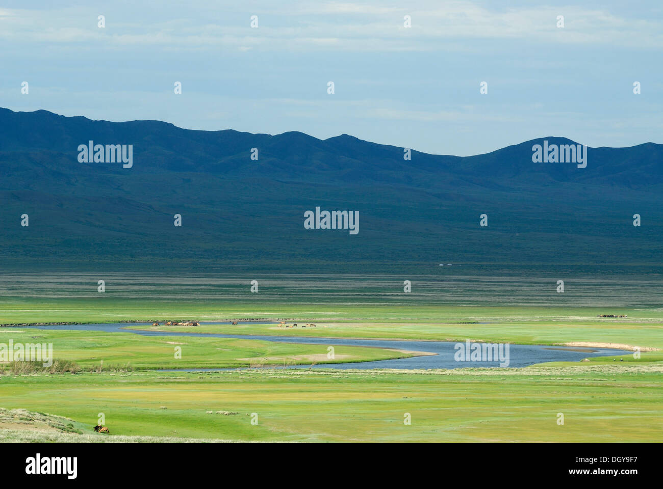 Tuul tuul hi-res stock photography and images - Alamy