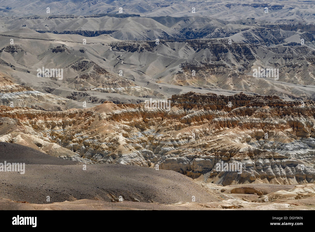 Canyon landscape around the Sutlej River in the ancient Kingdom of Guge ...