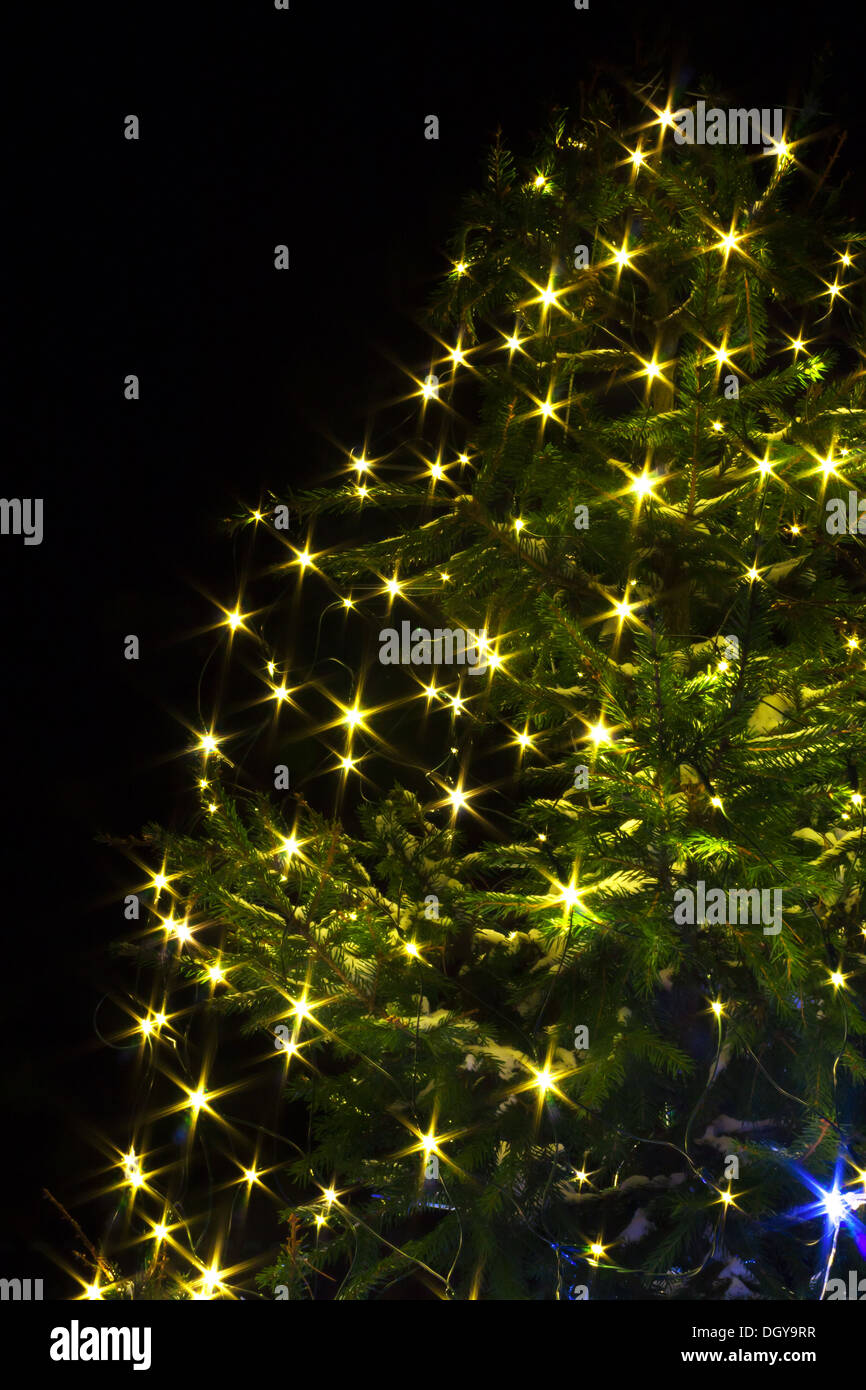 Christmas tree night with lights Stock Photo - Alamy