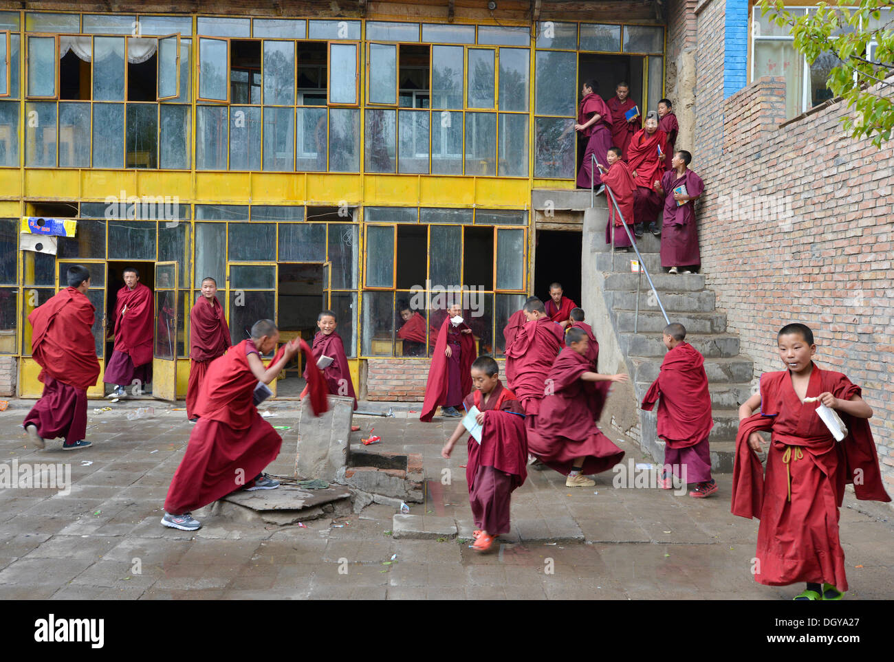 Young novice monks, students at a Buddhist monastery school, monastery ...