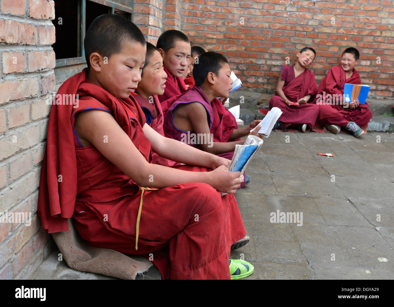 Young Tibetan novice monks in red robes reading religious texts ...