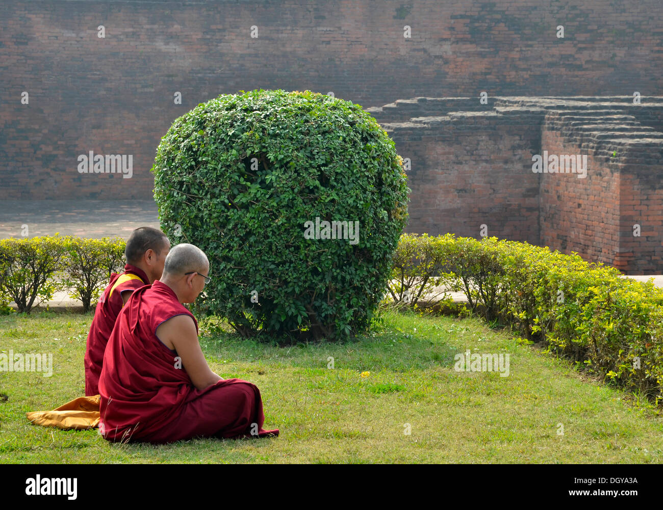 Tibetan Buddhist monks in red robes in meditation and prayer on a ...