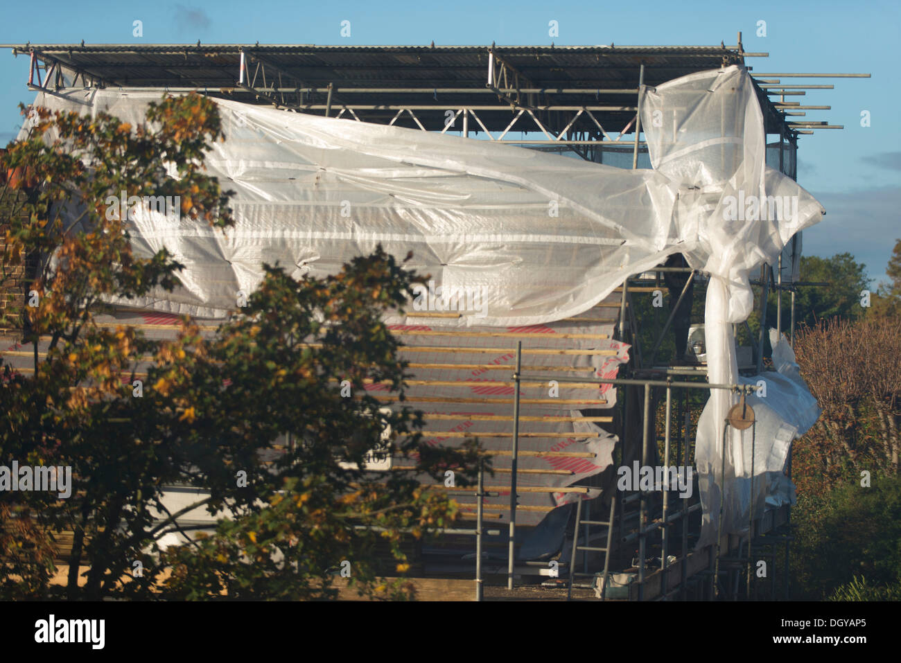 Weather damage london park hi-res stock photography and images - Alamy