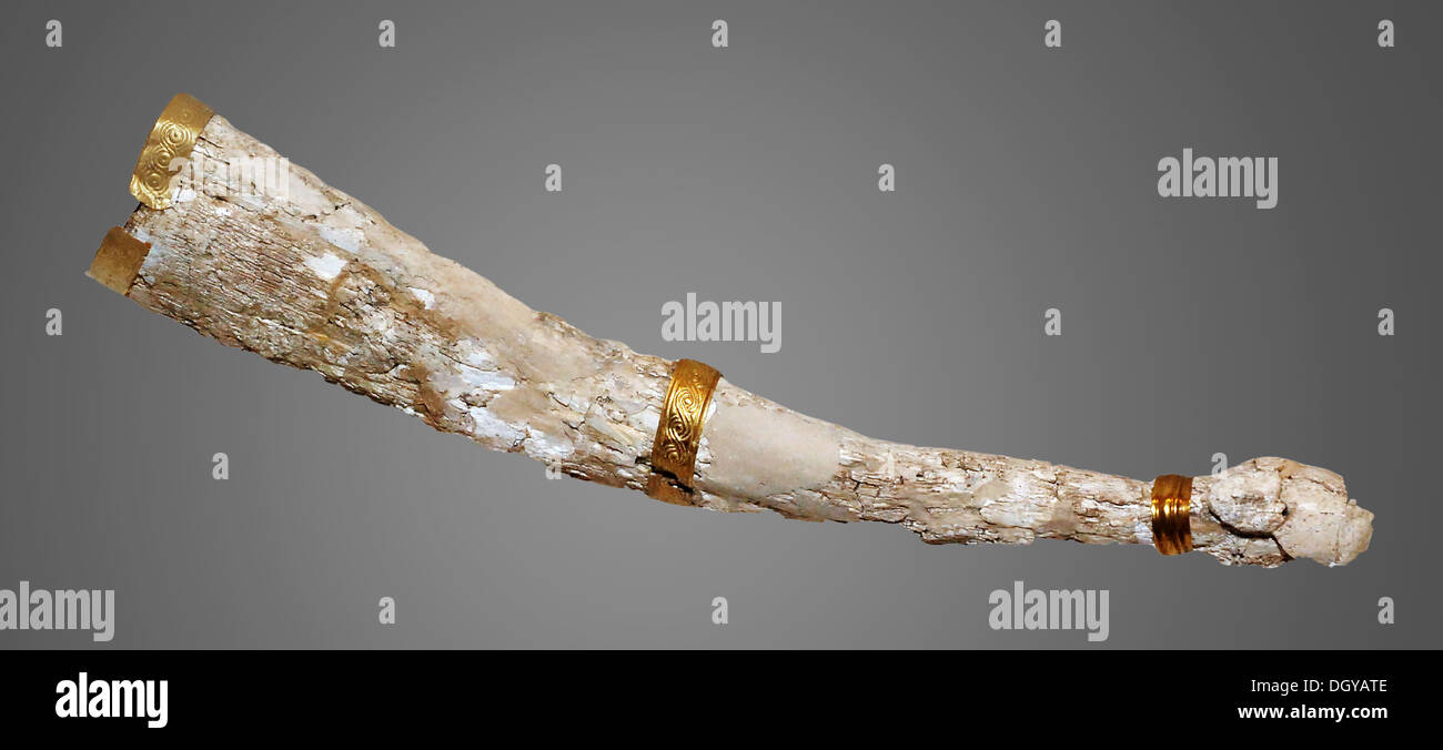 Megiddo ivory hi-res stock photography and images - Alamy