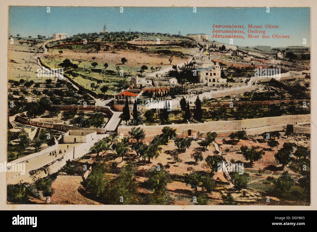 5568. Mt of Olives and Gathesmane, Jerusalem. Hand painted postcard ...