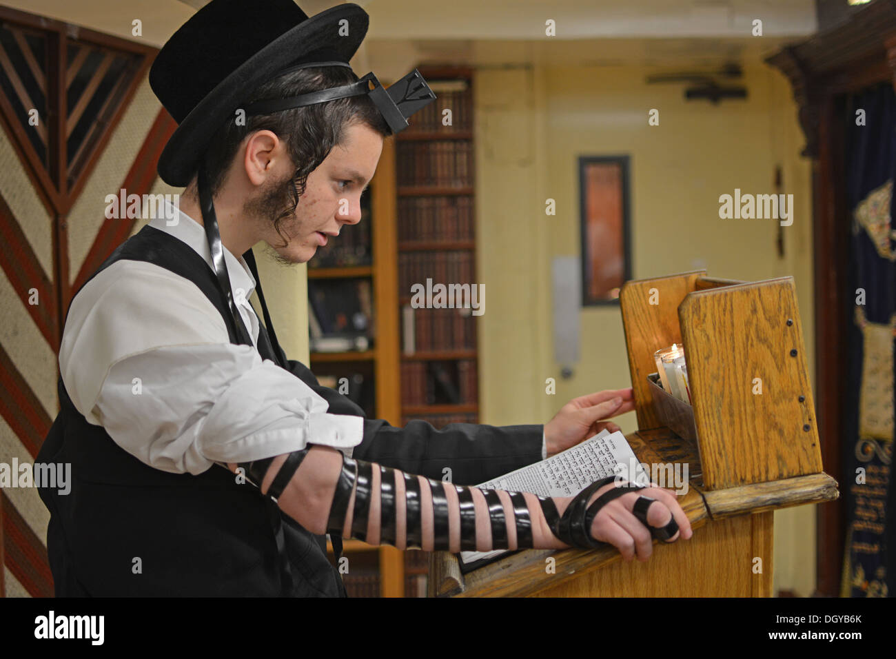 A religious young Jewish man with long peyot at morning prayers at the ...