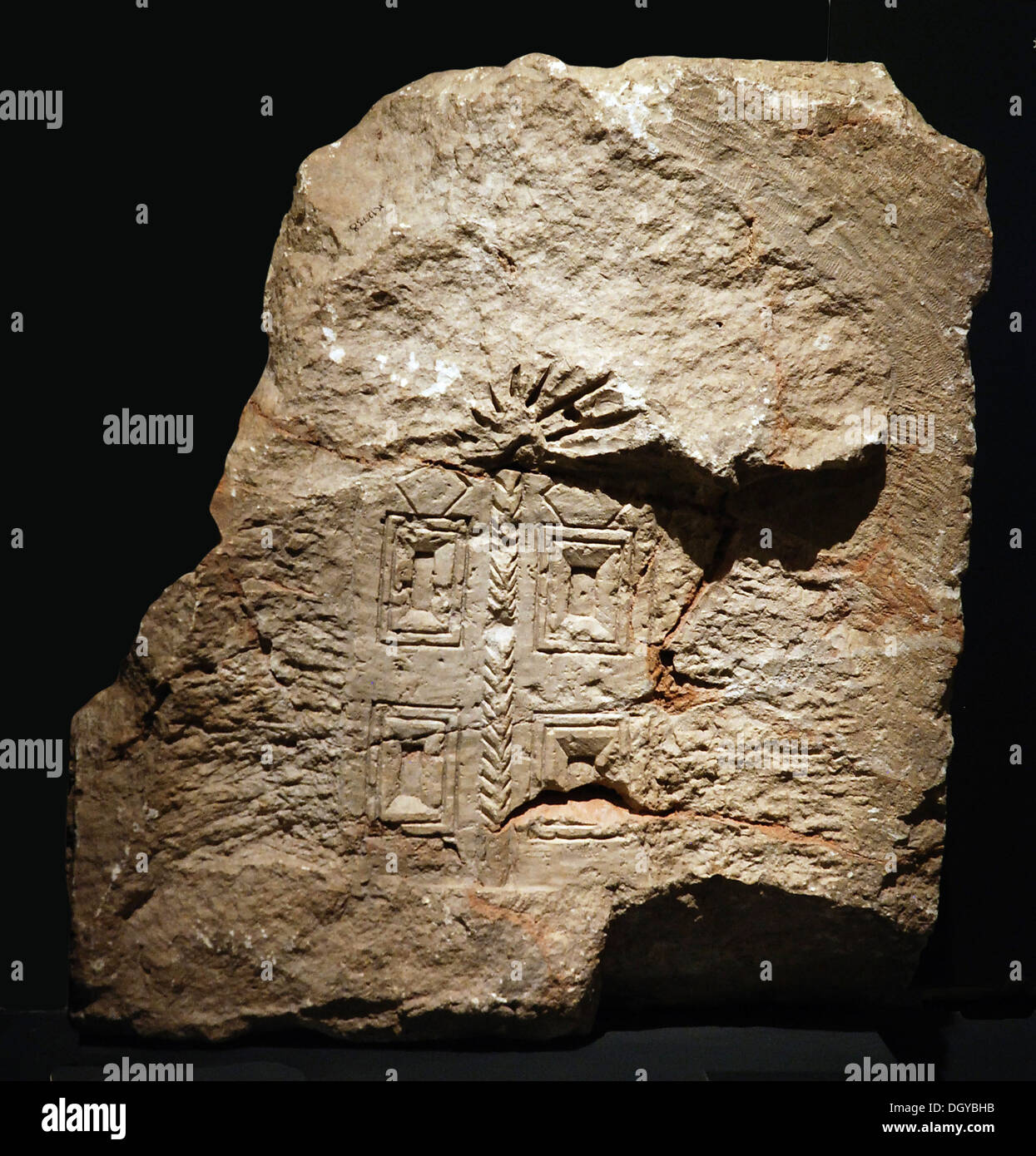 Es samara hi-res stock photography and images - Alamy