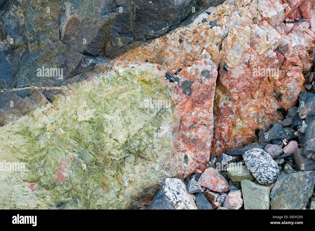 Coloured rocks on the Mittivakkat Glacier, Ammassalik Peninsula, East ...