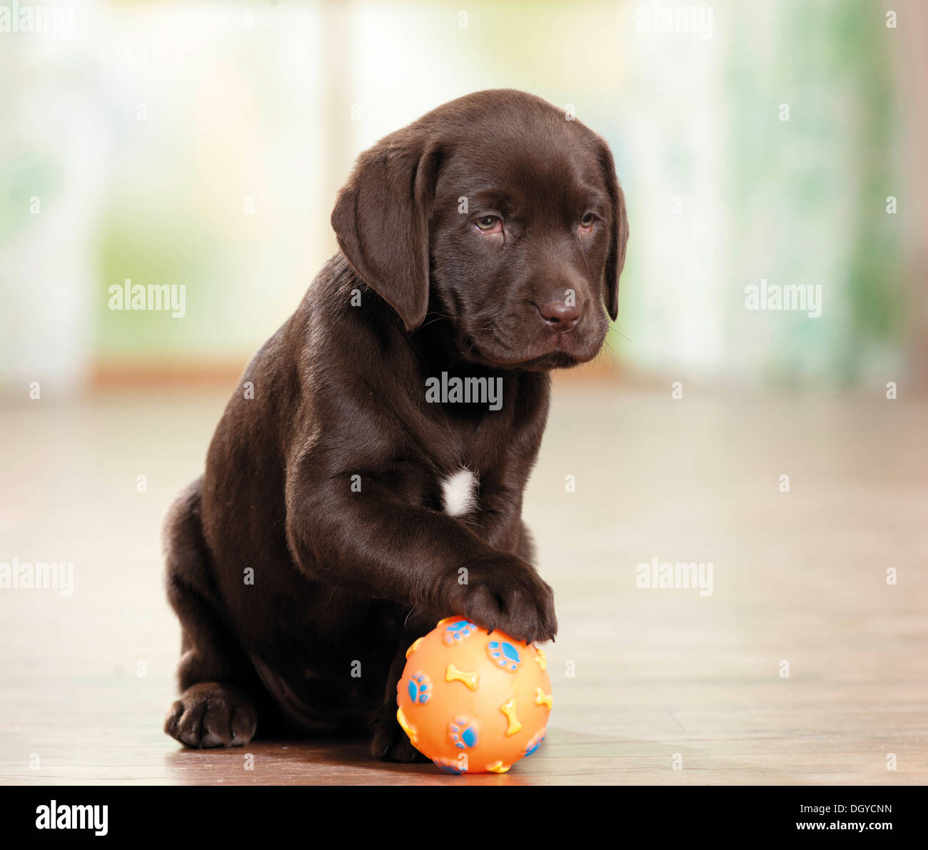 Ball quadrat hi-res stock photography and images - Alamy