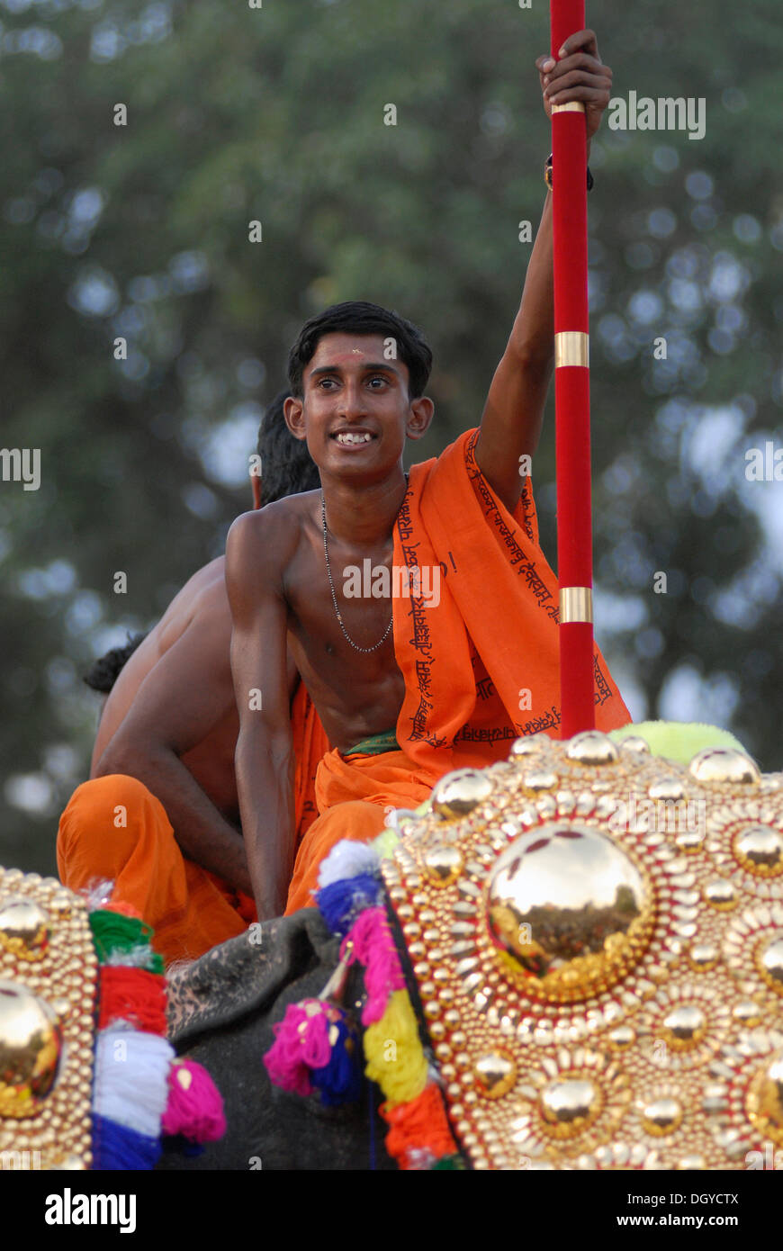 Pujari sitting on an elephant's back, Hindu Pooram festival, Thrissur ...