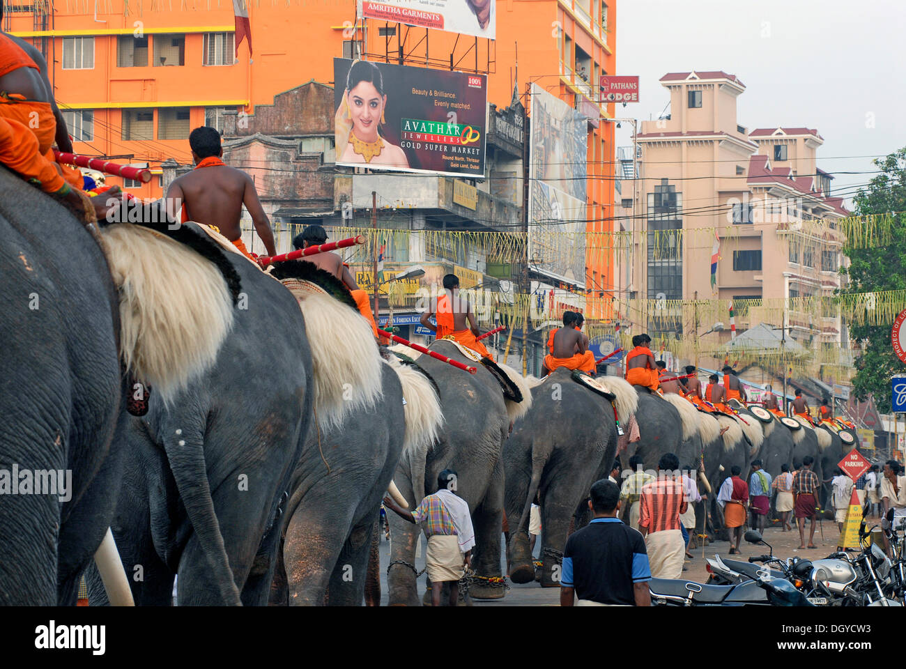 Indian man sitting on elephant hi-res stock photography and images - Alamy