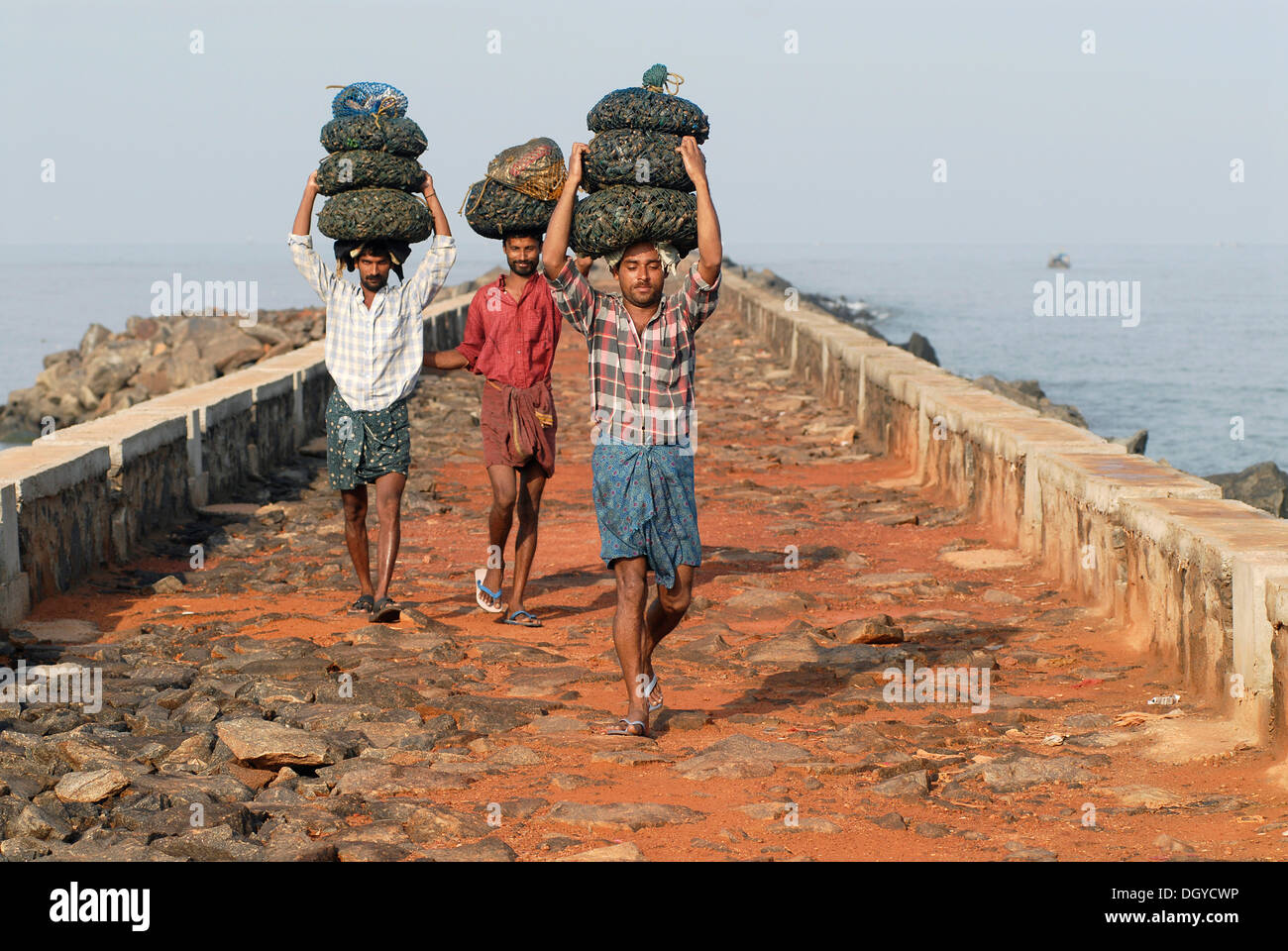 Kerala sea shells hi-res stock photography and images - Alamy