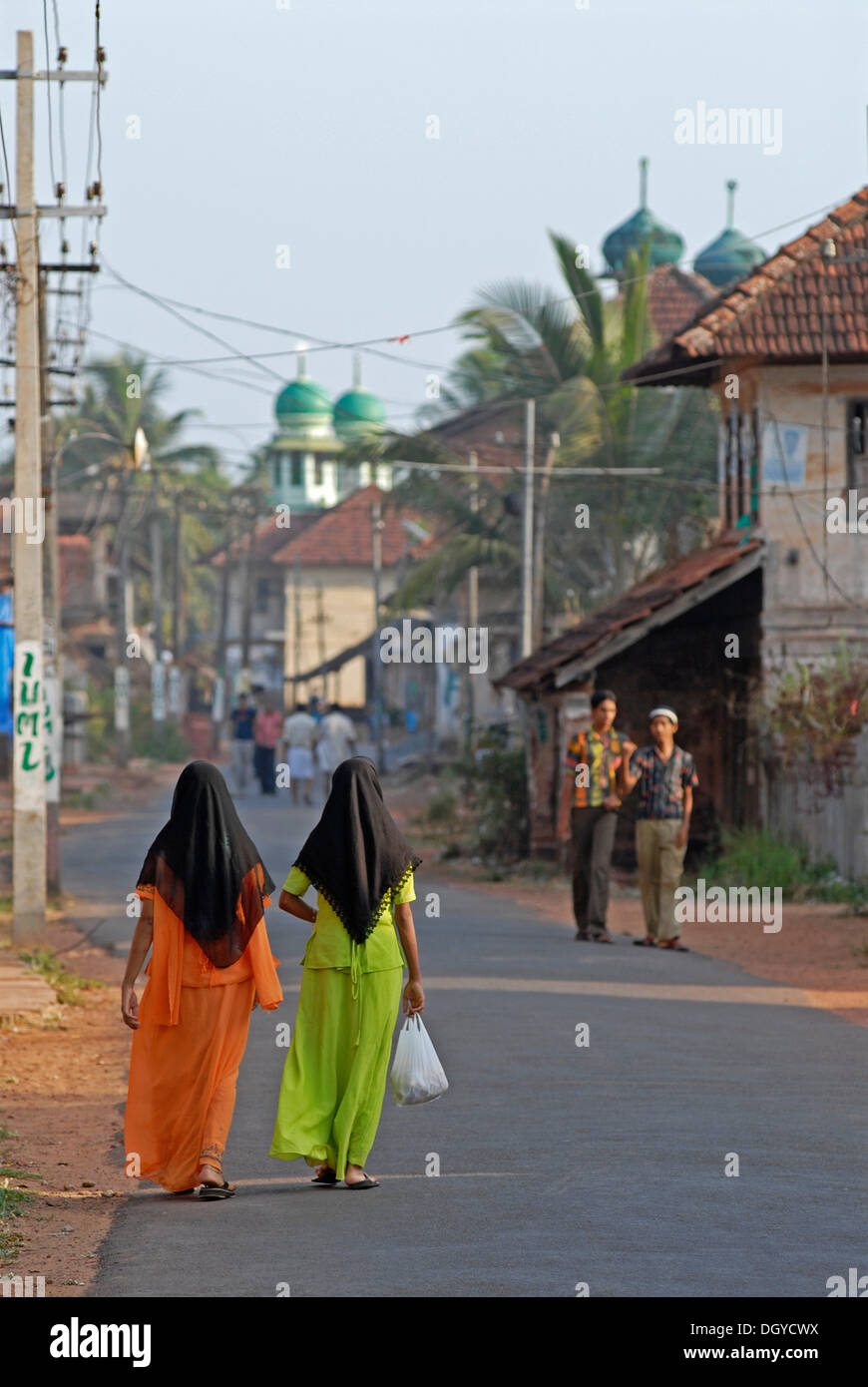 Nileshwaram, Malabar Coast, northern Kerala, Kerala, southern India ...