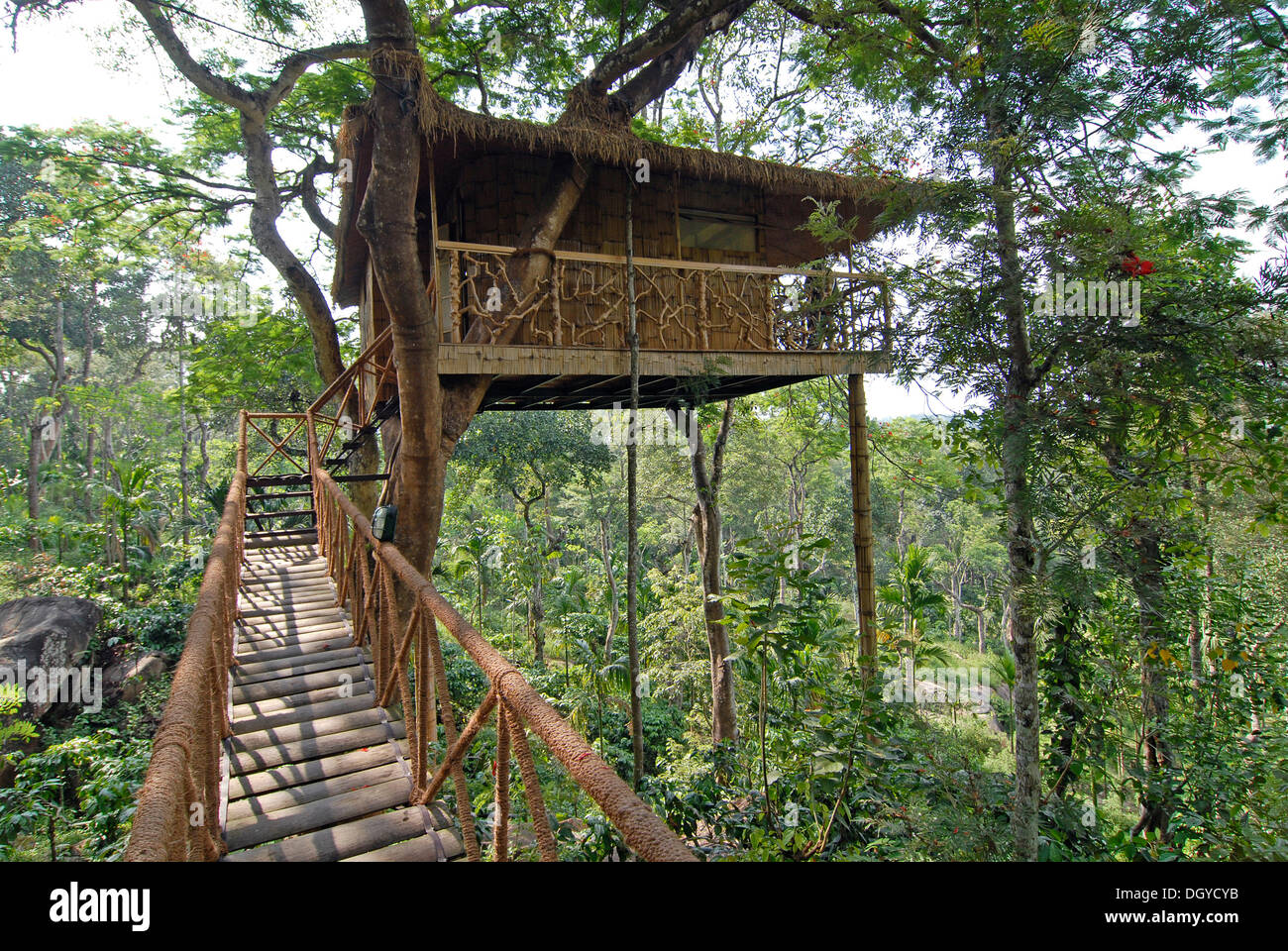 Tree house, Tranquil Estate, North Kerala, Western Ghats, South India ...