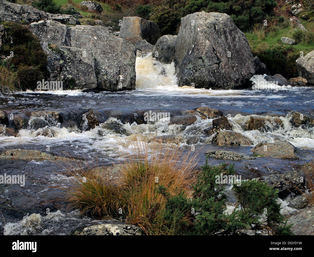 Upper course of the River Lyd below its source on Dartmoor. A typical ...