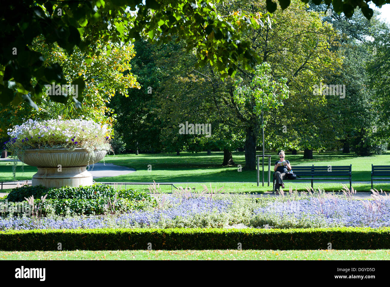 Regent's Park, London, England, United Kingdom, Europe Stock Photo - Alamy