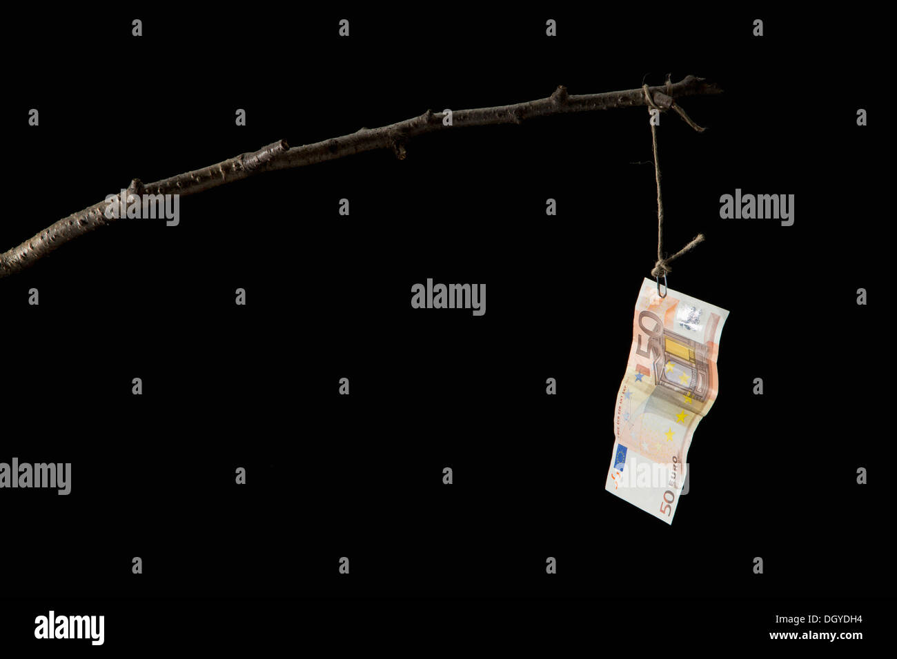 A fifty Euro banknote dangling from a crude fishing rod Stock Photo - Alamy