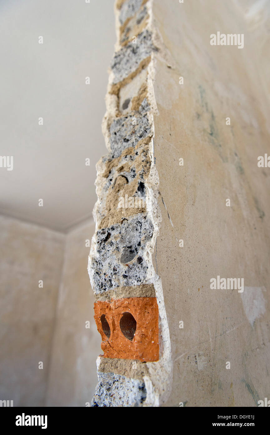 Cross Section Plaster Walls