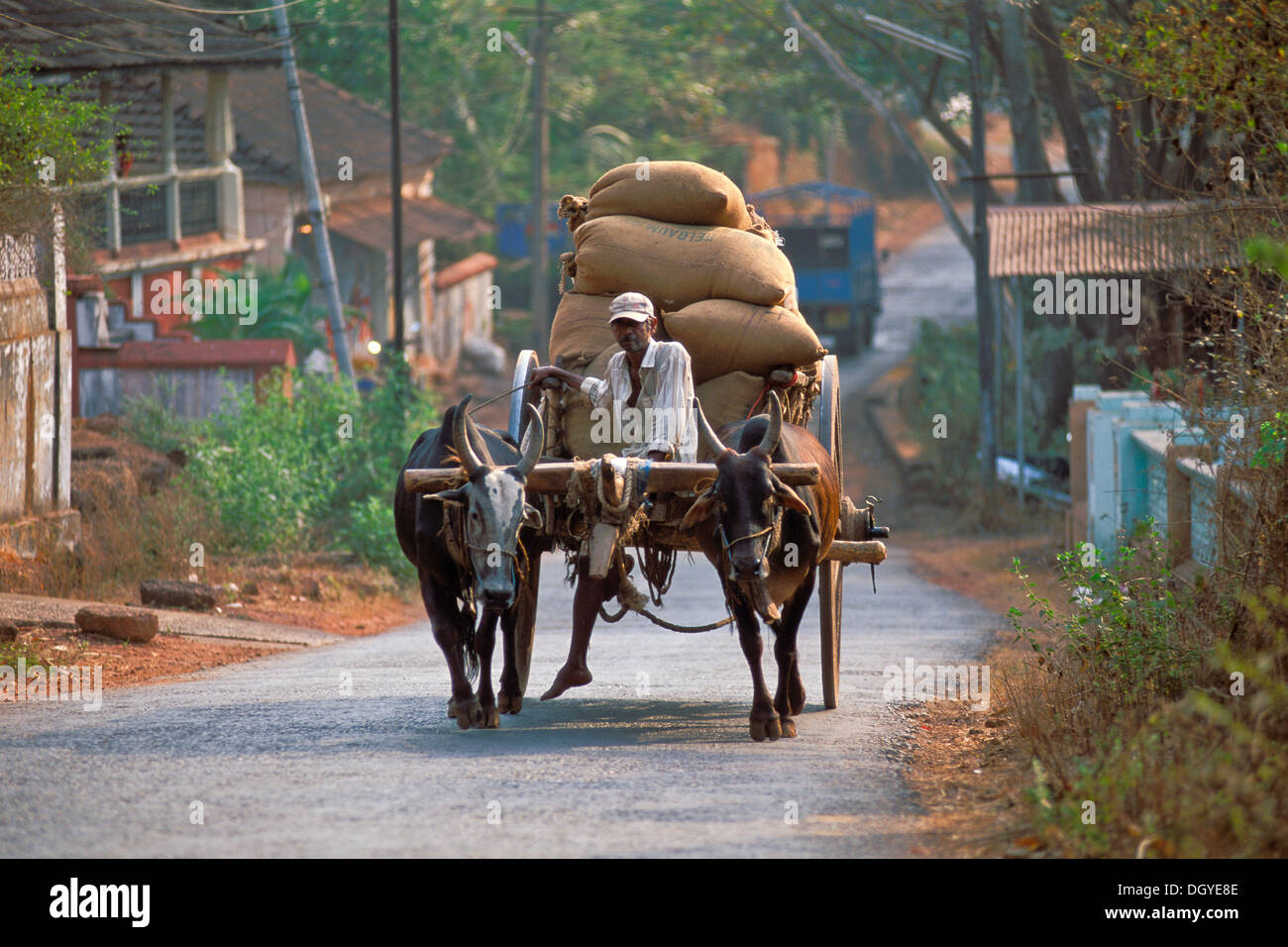 Cattle drawn cart hi-res stock photography and images - Alamy