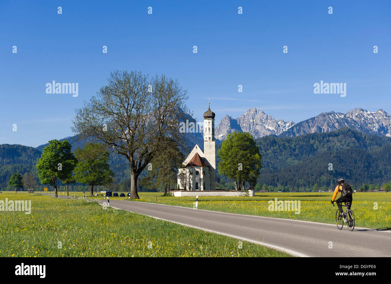 Cyclist on the road to the pilgrimage church of St. Coloman, Schwangau ...
