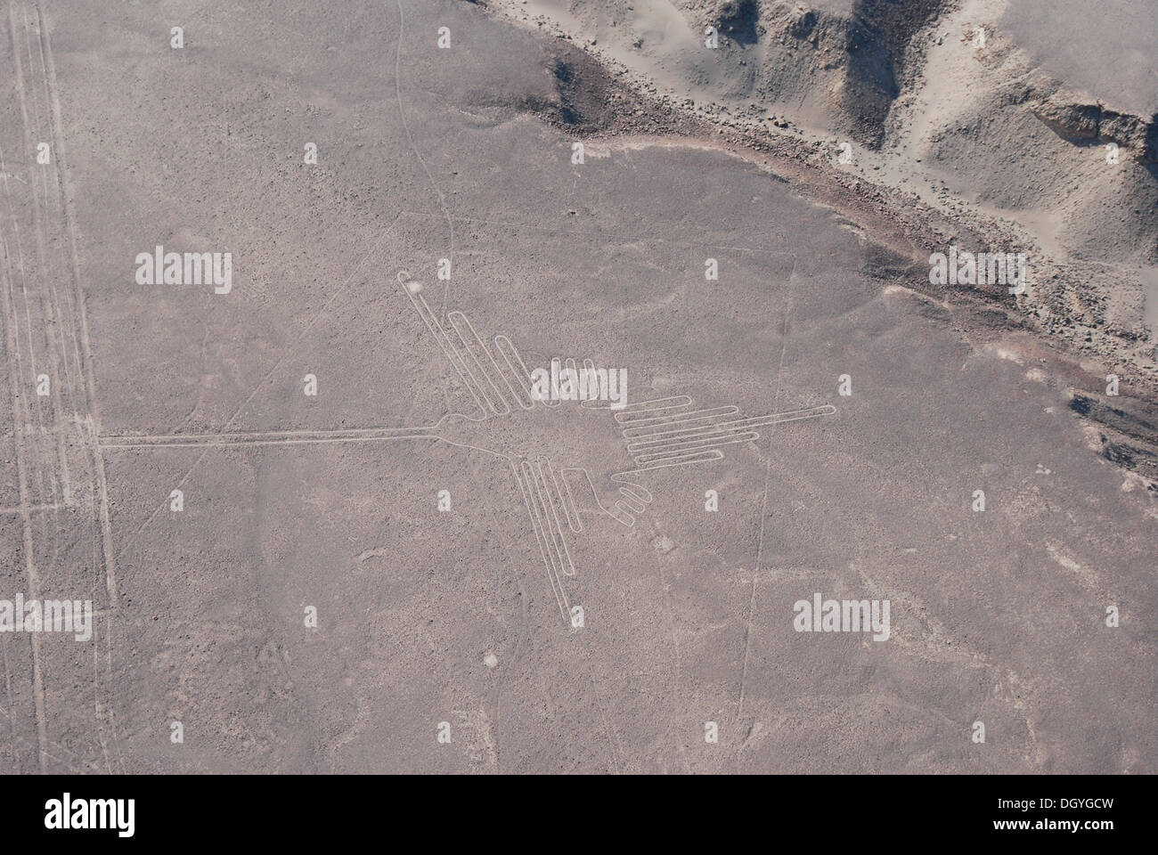 The Hummingbird, Nazca Lines, UNESCO world heritage site, in Nasca or ...