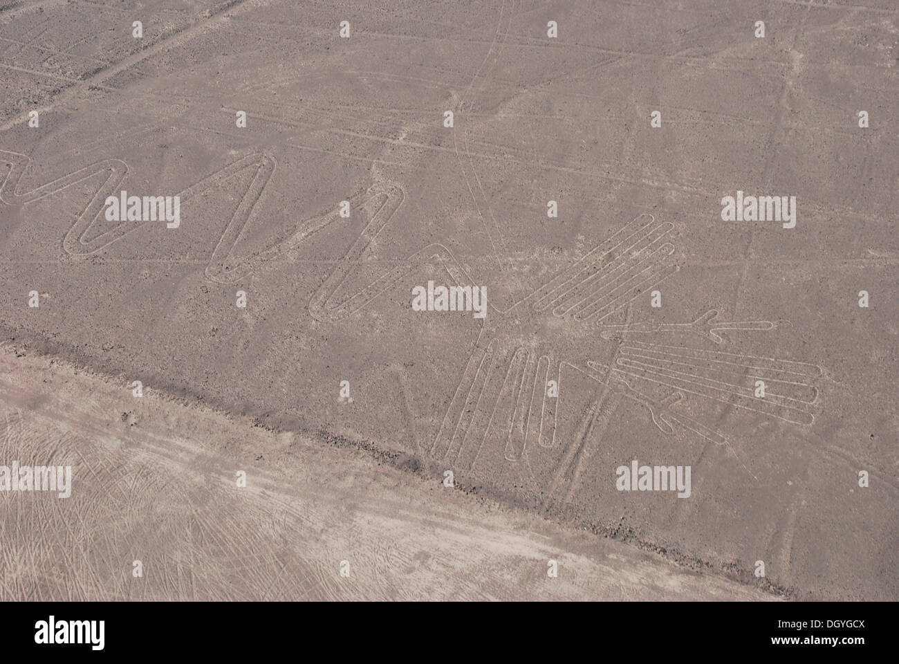 The Condor, Nazca Lines, UNESCO world heritage site, in Nasca or Nazca ...