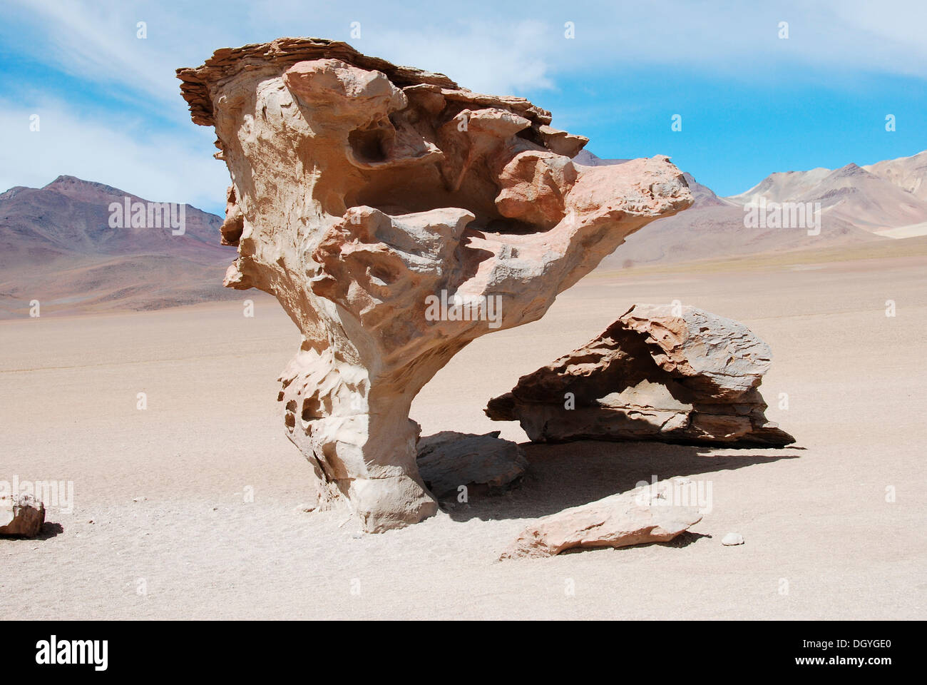 El Arbol de Piedra, also stone tree, Salar de Uyuni, salt desert of ...