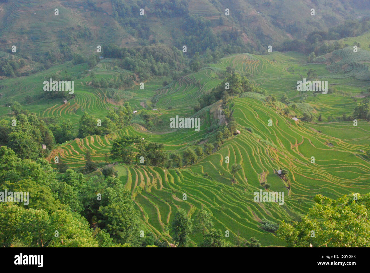 Rice terraces yuanyang yunnan china hi-res stock photography and images ...