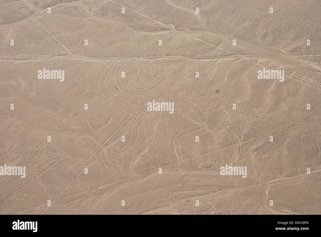 The Monkey, Nazca Lines, Nasca geoglyphs, UNESCO World Heritage site ...