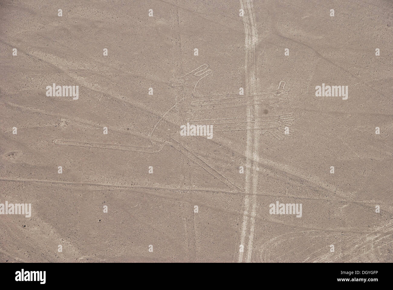 The Dog, Nazca Lines, Nasca geoglyphs, UNESCO World Heritage site near ...