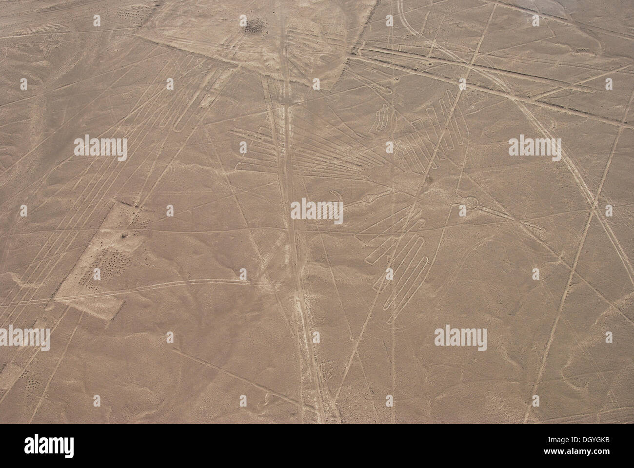 The Condor, Nazca Lines, Nasca geoglyphs, UNESCO World Heritage site ...