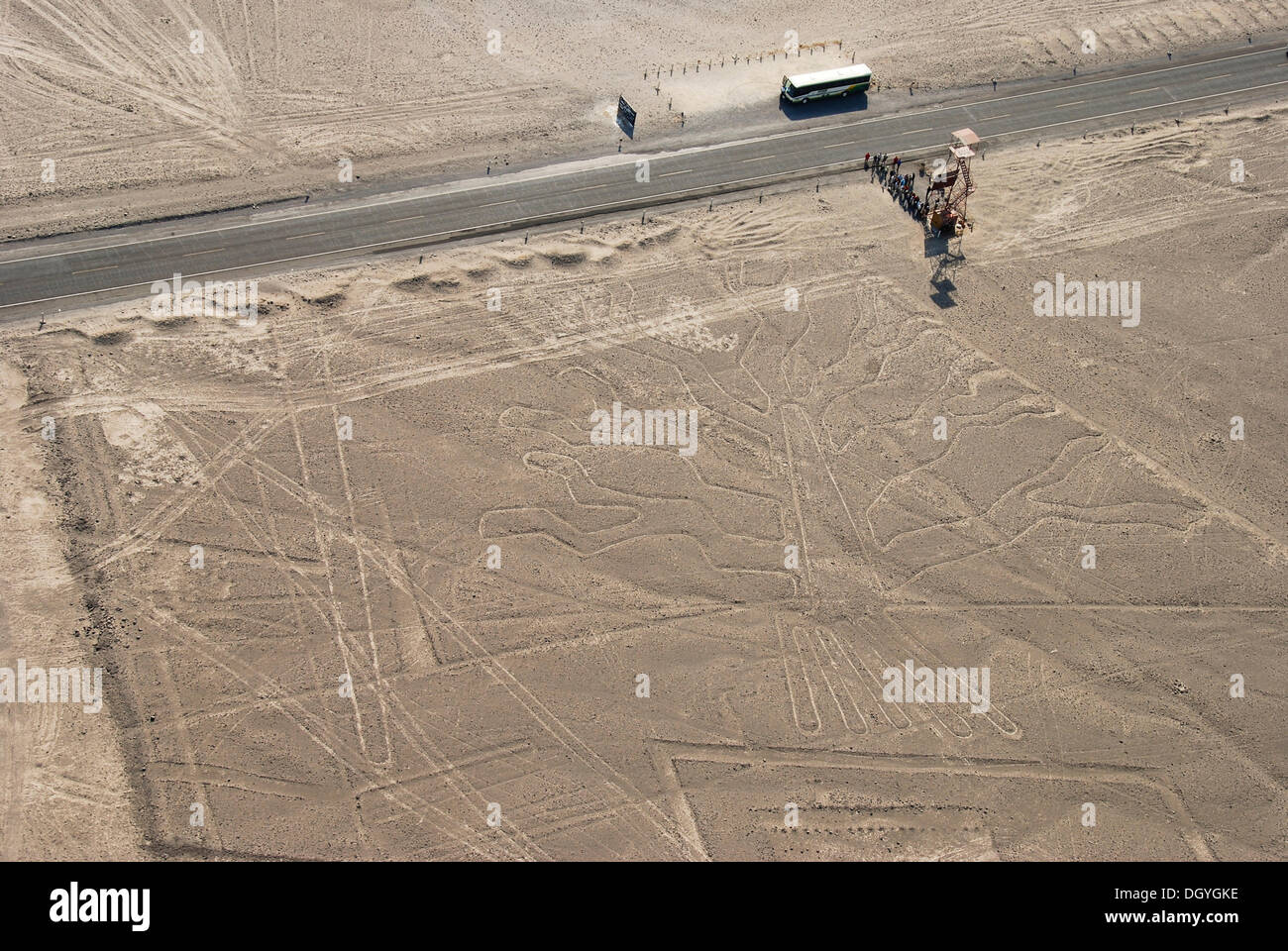 The Tree, Nazca Lines, Nasca geoglyphs, UNESCO World Heritage site near ...