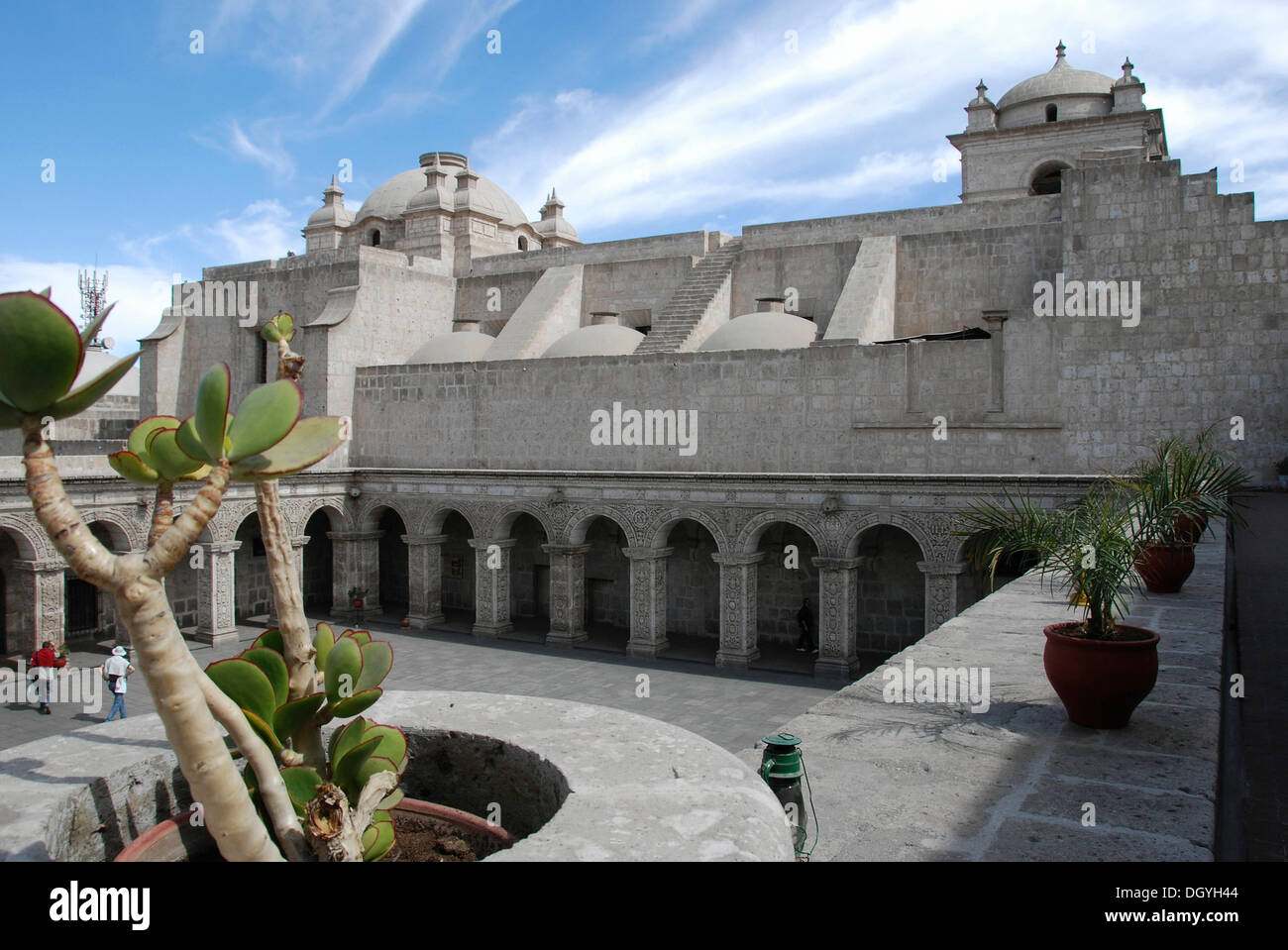 Pot plant courtyard hi-res stock photography and images - Alamy