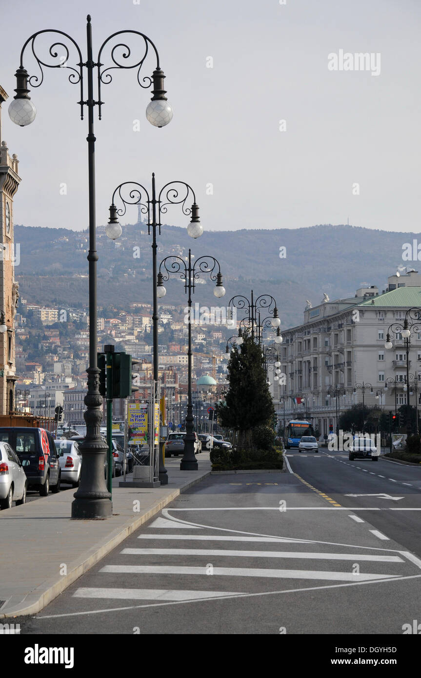 Gulli hi-res stock photography and images - Alamy