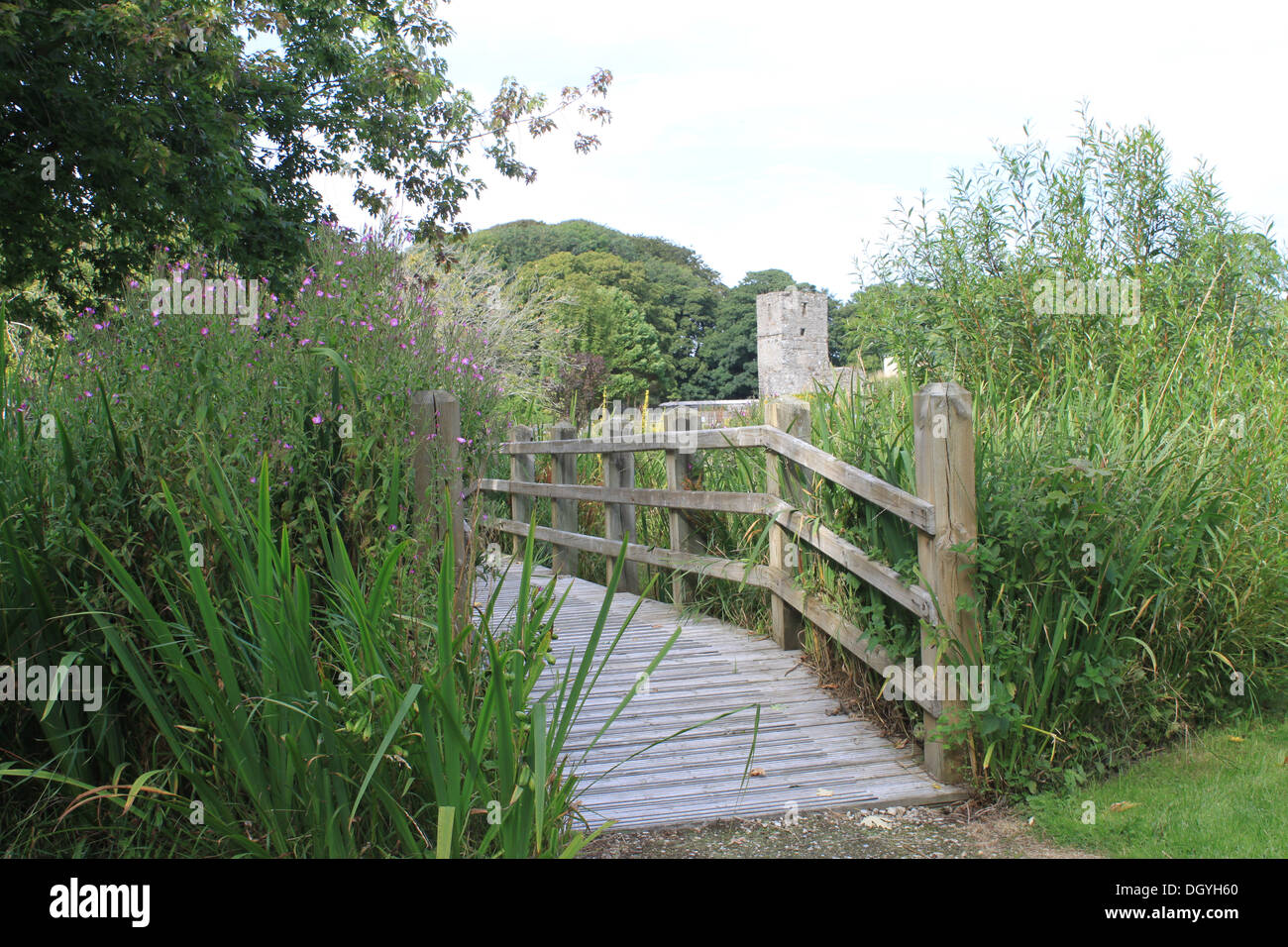 Tranquil bridge over the water Stock Photo - Alamy