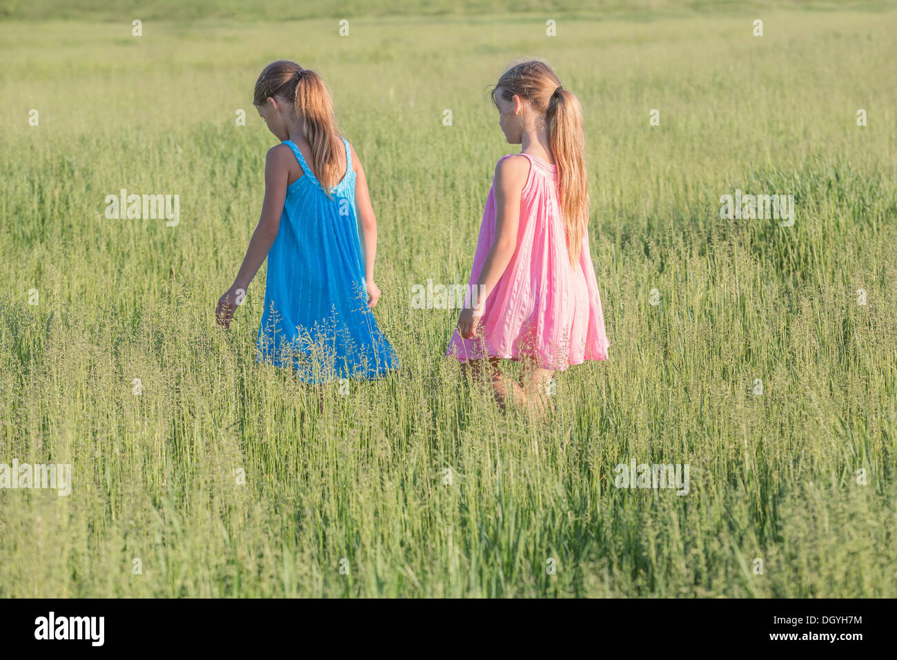 A young girl following her sister, walking through a sunny field Stock ...