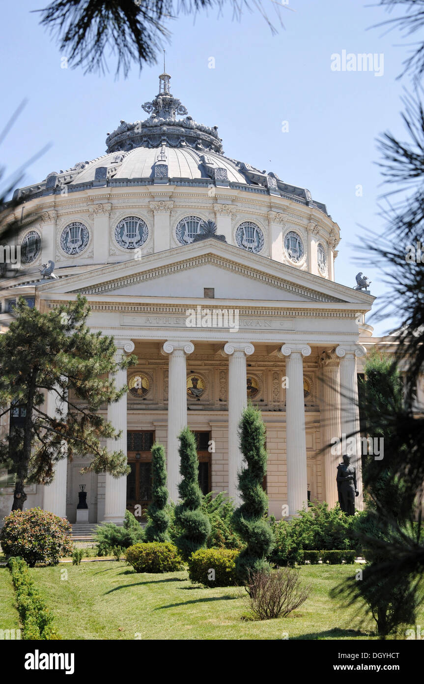 Athenaeum, Bucharest, Romania, Europe Stock Photo - Alamy